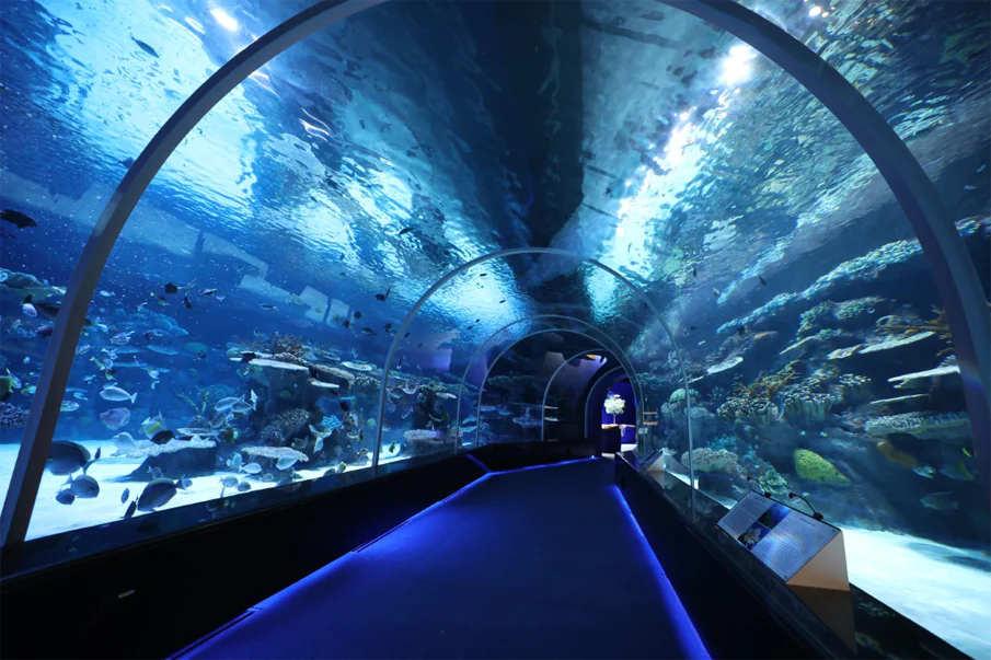 Hamad Port Visitor Center - Dive into Qatar’s Maritime Heritage